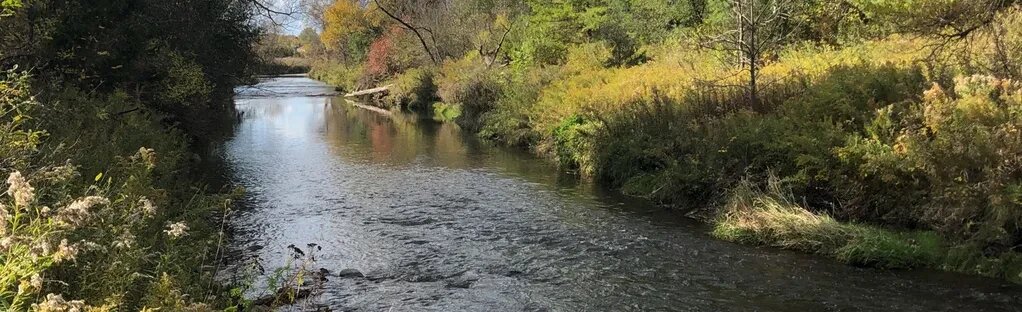 Beyond The Walls are The Best Accessible Parks in York